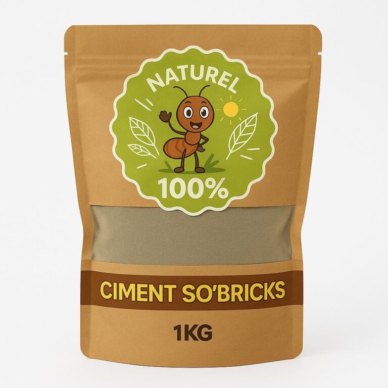 SO'BRICKS – Construire brique par brique